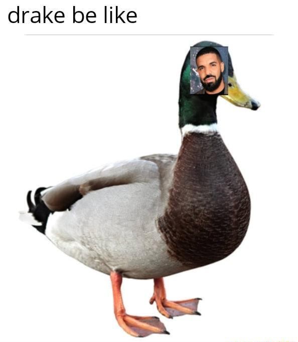 Drake be like - iFunny