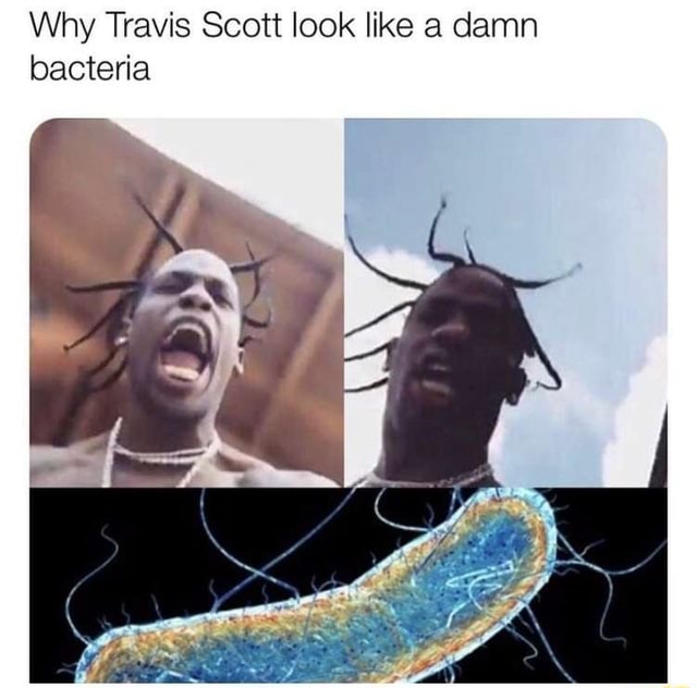 Why Travis Scott look like a damn bacteria - iFunny Why Travis Scott look like a damn bacteria - iFunny