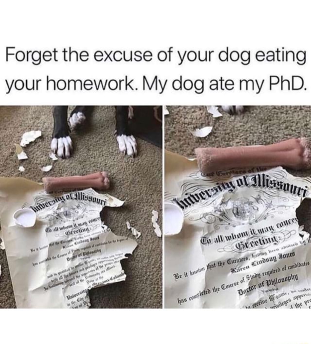 Forget the excuse of your dog eating your homework. My dog ate my PhD ...