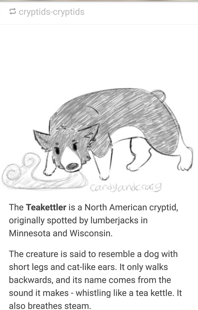 The Teakettler is a North American cryptid, originally spotted by ...