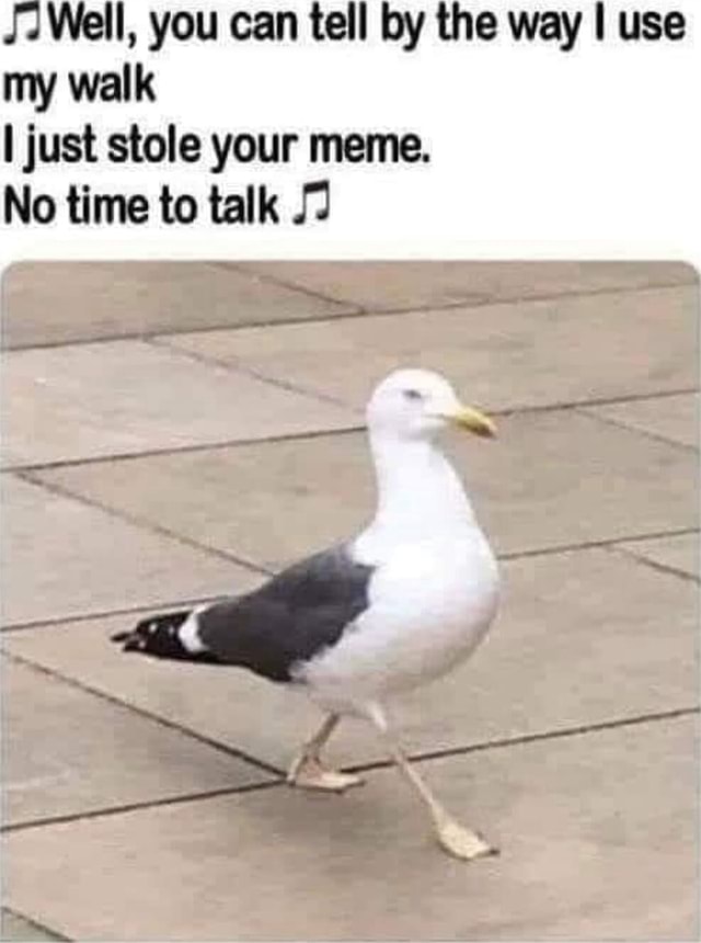 Well, you can tell by the way I use my walk I just stole your meme. No ...