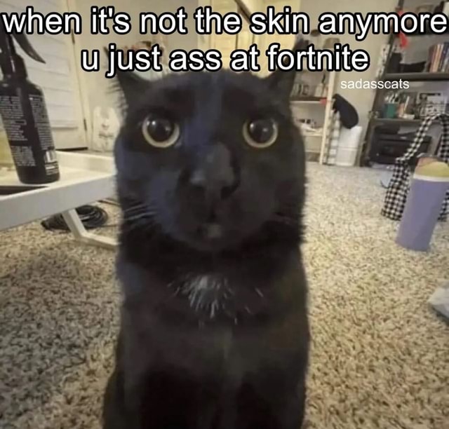 Womp womp - - - #meme #memes #cat #cats #catmeme #catmemes #sadcat # ...