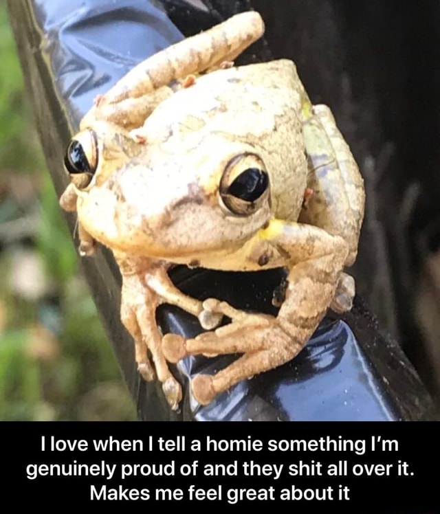 Love when tell a homie something I'm genuinely proud of and they shit ...