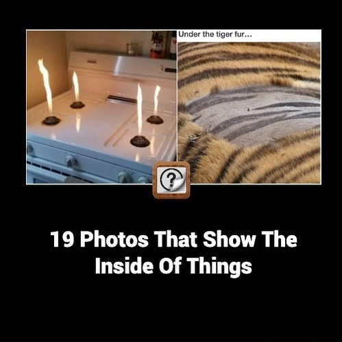 19 Photos That Show The Inside Of Things - America’s best pics and videos