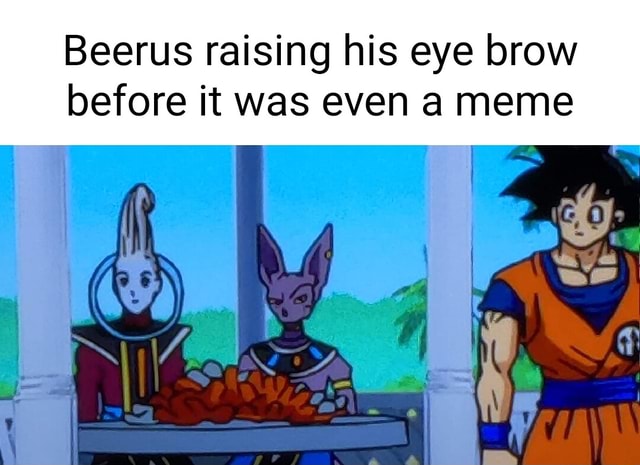 Beerus raising his eye brow before it was even a meme I - iFunny