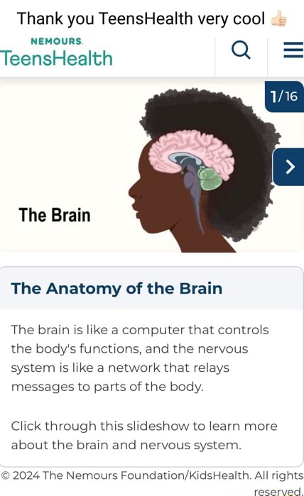 Thank you TeensHealth very cool NEMOURS. TeensHealth Q The Brain The ...