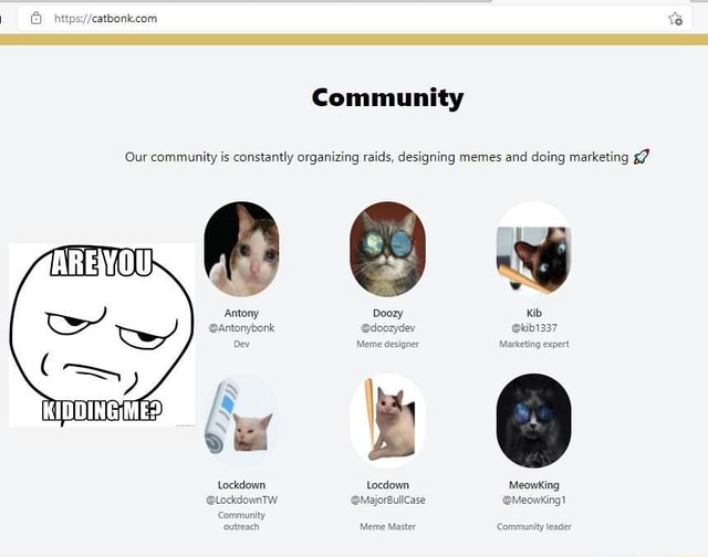 Community Our community is constantly organizing raids, designing memes ...