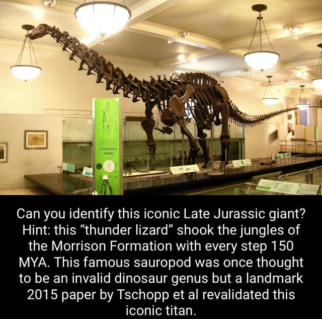 Can you identify this iconic Late Jurassic giant? Hint: this "thunder ...