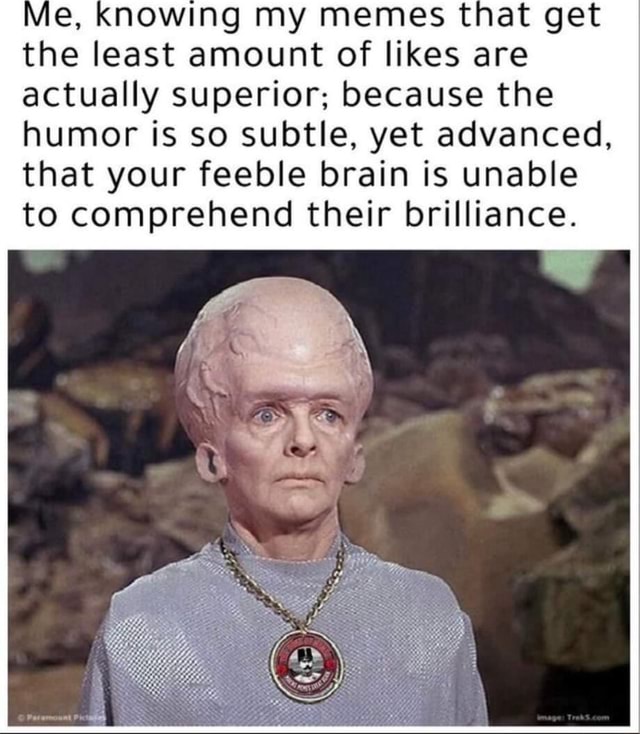 Me, knowing my memes that get the least amount of likes are actually ...