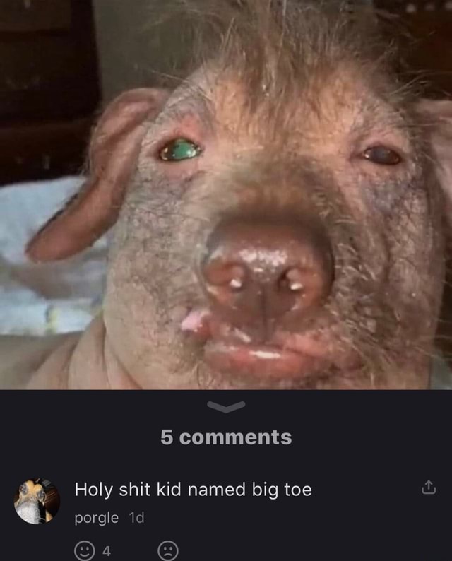 5 comments Holy shit kid named big toe porgle id - iFunny