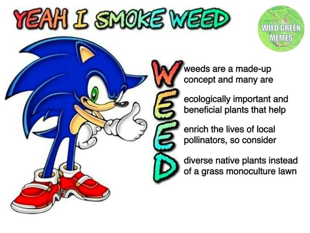 🪴 Meme by @beingevolved - weeds are a made-up concept and many are ...