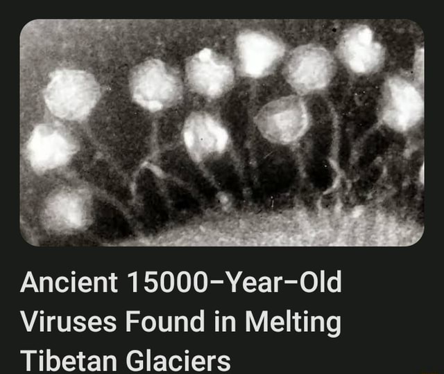 Ancient 15000-Year-Old Viruses Found in Melting Tibetan Glaciers - iFunny