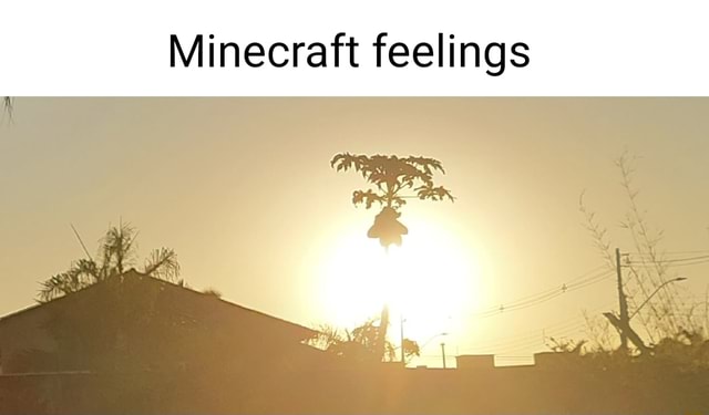 Minecraft feelings - iFunny Brazil