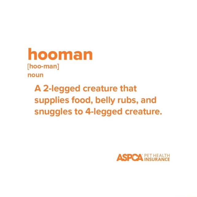 Hooman [hoo-man] noun A 2-legged creature that supplies food, belly ...