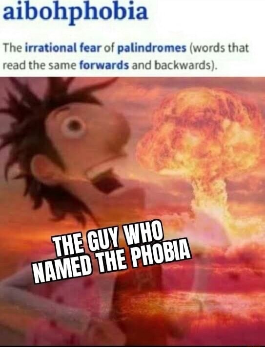 Aibohphobia The irrational fear of palindromes (words that read the same forwards and backwards ...