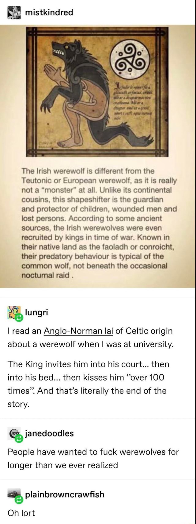 FL mistkindred The Irish werewoit IS different from the Teutonic or ...