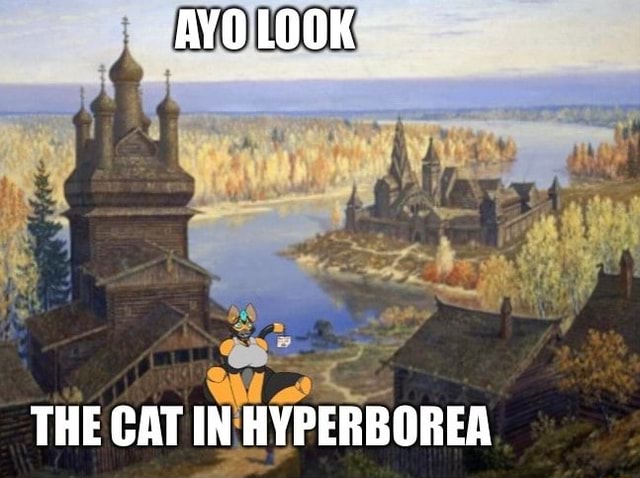 AYO LOOK THE CAT IN HYPERBOREA - iFunny