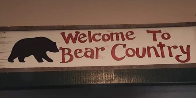 Welcome 'To Bear Country - America’s best pics and videos