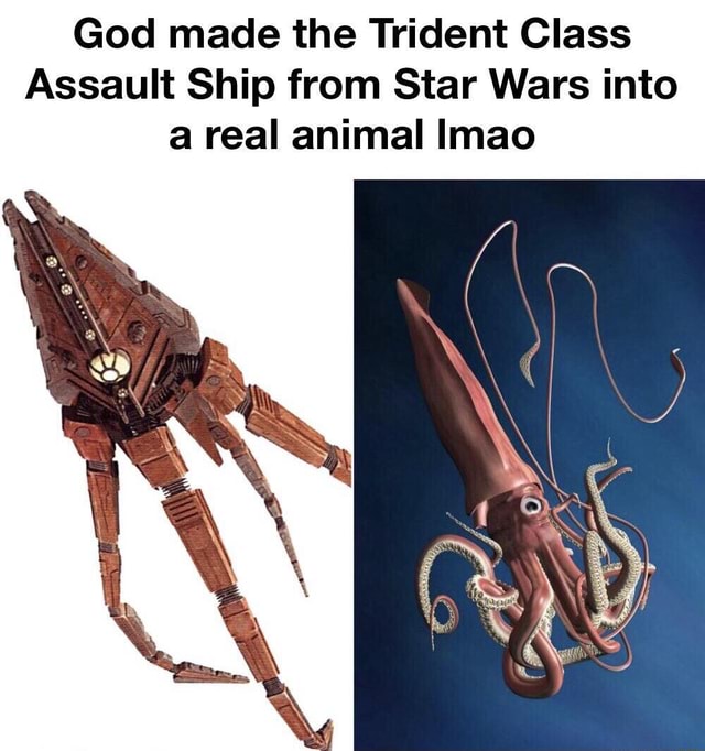 God made the Trident Class Assault Ship from Star Wars into a real ...