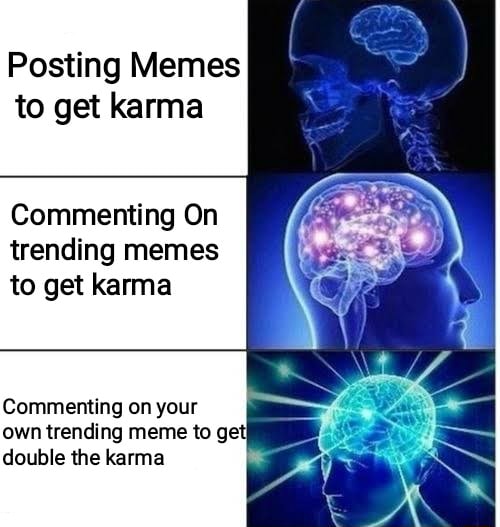 Posting Memes to get karma Commenting On trending memes to get karma ...