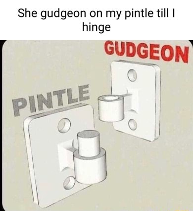 She gudgeon on my pintle till I hinge pINTLE GUDGEON - iFunny