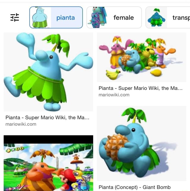Pianta female Re transr Pianta - Super Mario Wiki, the Ma... mariowiki ...