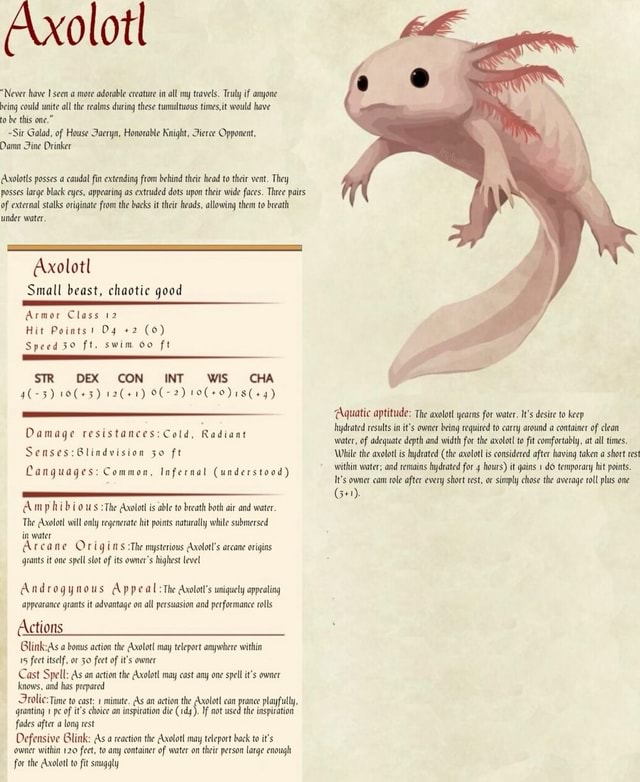 Axolotl "Never have I seen a more adorable creature in all my travels ...