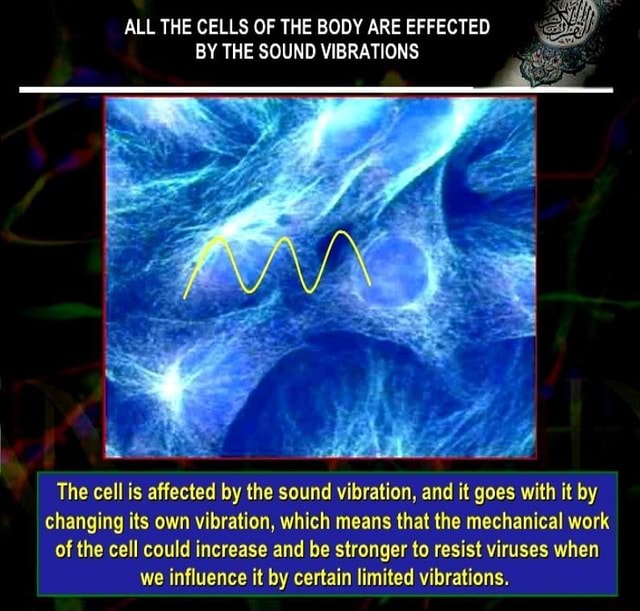 ALL THE CELLS OF THE BODY ARE EFFECTED BY THE SOUND VIBRATIONS The cell ...