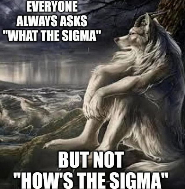 EVER ALWAYS ASKS "WHAT THE SIGMA" BUT NOT "HOW'S THE SIGMA" - iFunny