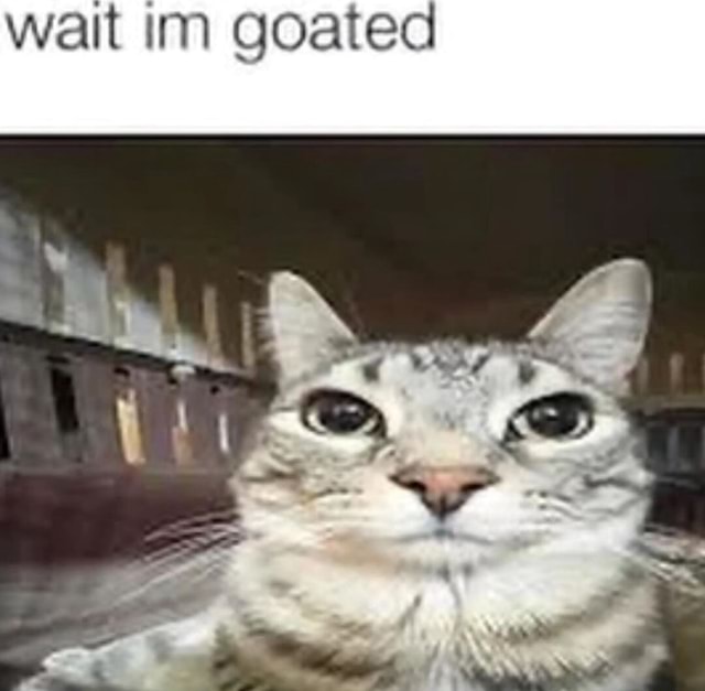 Wait im goated - iFunny