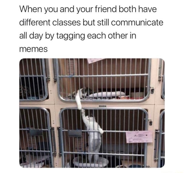 When you and your friend both have different classes but still ...