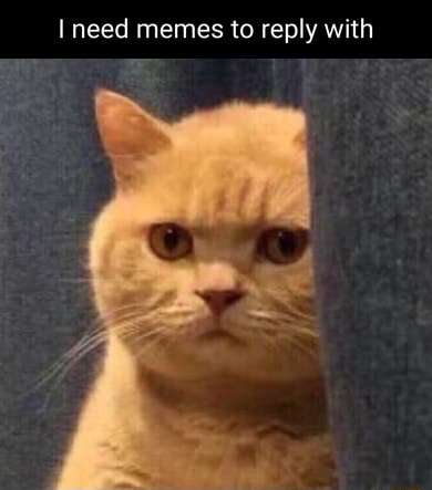 Need memes to reply with - iFunny