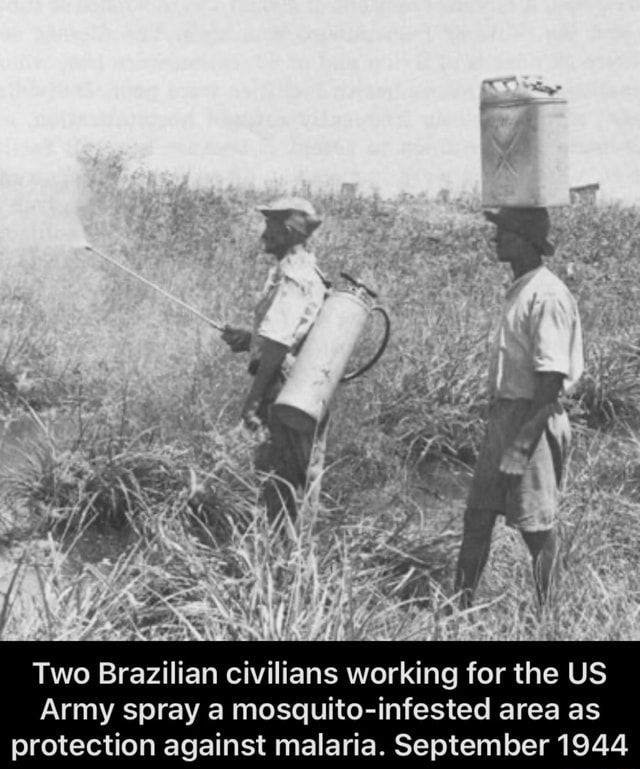 Army spray a mosquito-infested area as protection against malaria ...