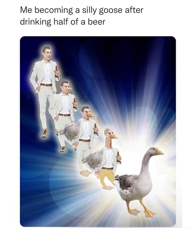 Me becoming a silly goose after drinking half of a beer - iFunny