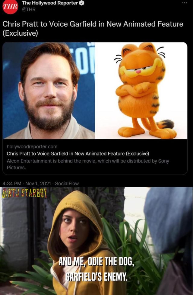 The Hollywood Reporter Chris Pratt to Voice Garfield in New Animated ...