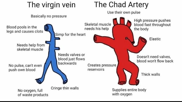 The virgin vein The Chad Artery Use their own pulse Basically no ...