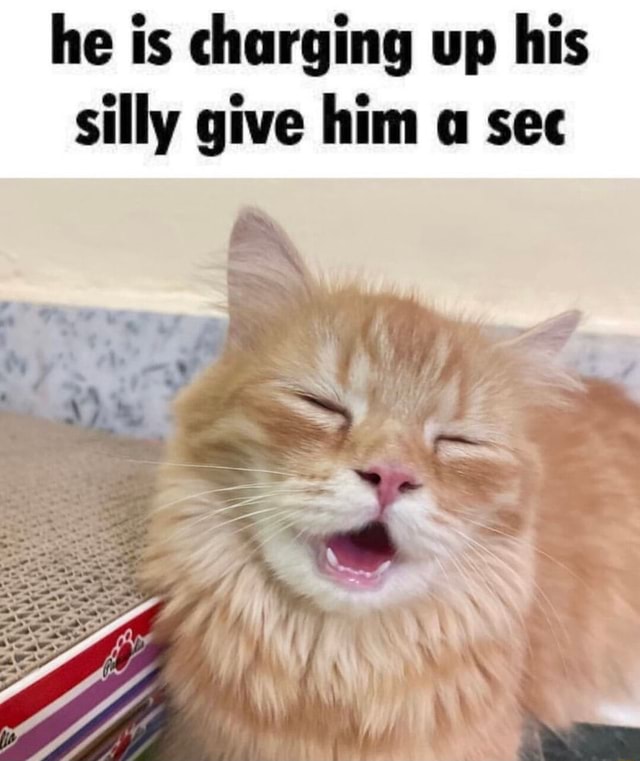He is charging up his silly give him a sec - iFunny