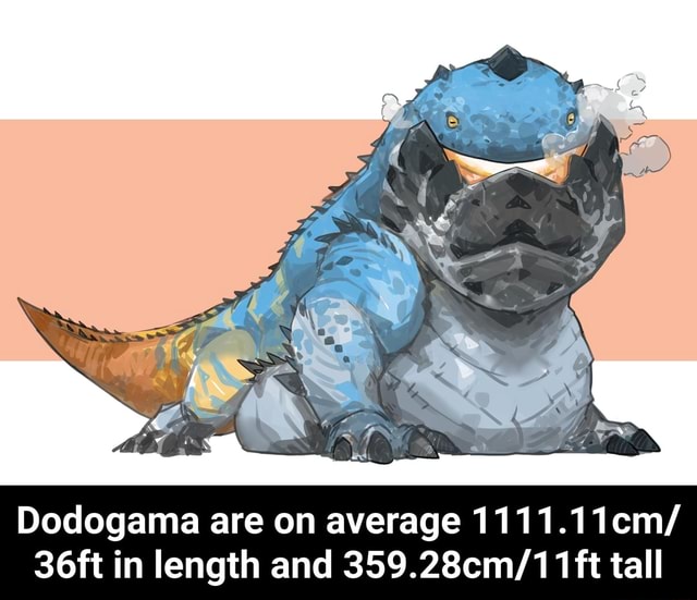Dodogama are on average 1111.11cm/ 36ft in length and 359.28cm/1 1ft ...