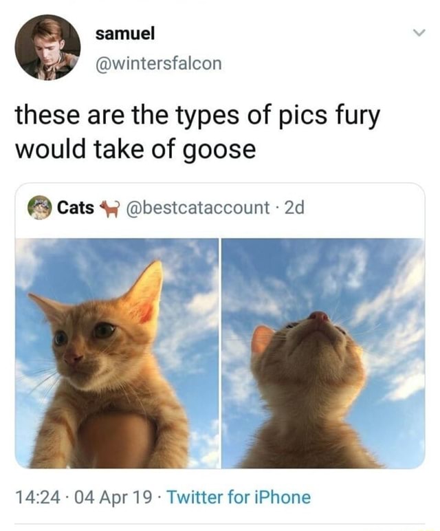 Samuel @wintersfalcon these are the types of pics fury would take of ...