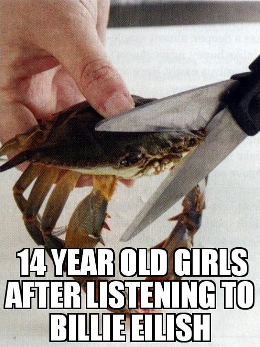 14 YEAR OLD GIRLS AFTER LISTENING BILLIE EILISH - iFunny
