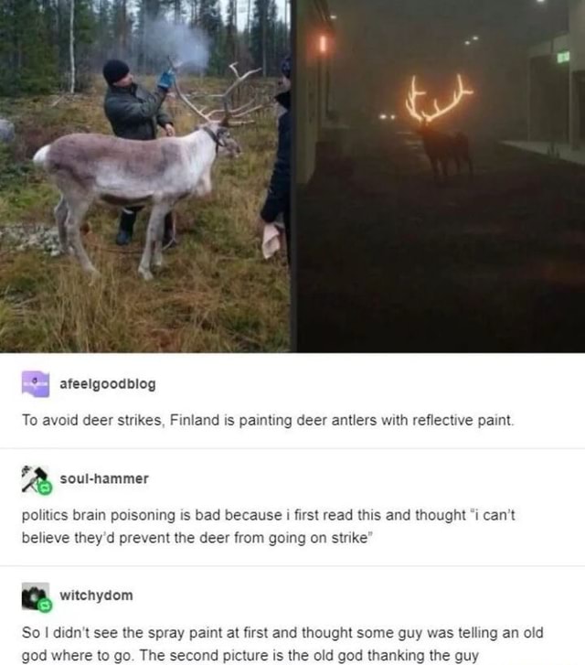 To avoid deer strikes, Finland is painting deer antlers with reflective ...
