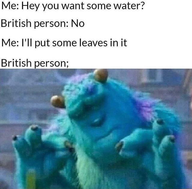 Me: Hey you want some water? British person: No Me: I'll put some ...