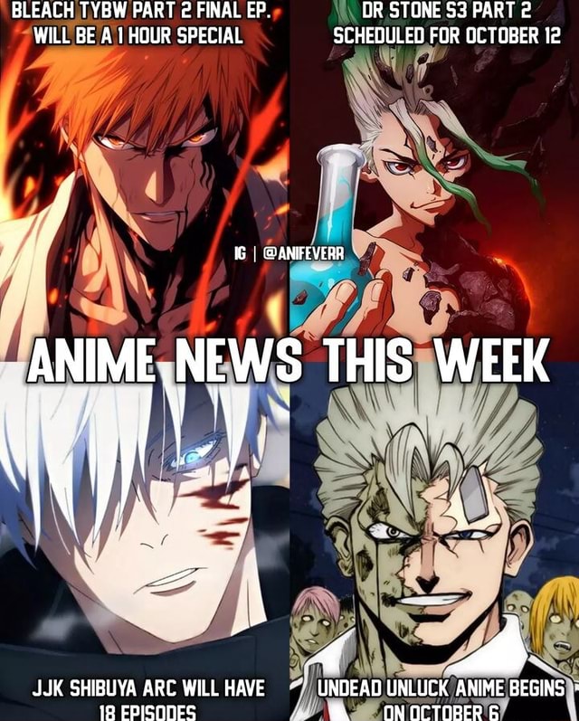 BLEACH TYBW PART 2 FINAL EP. DR STONE PART 2 WILL BE A HOUR SPECIAL ...
