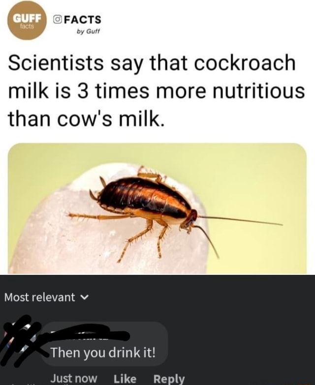 FACTS by Guff Scientists say that cockroach milk is 3 times more ...
