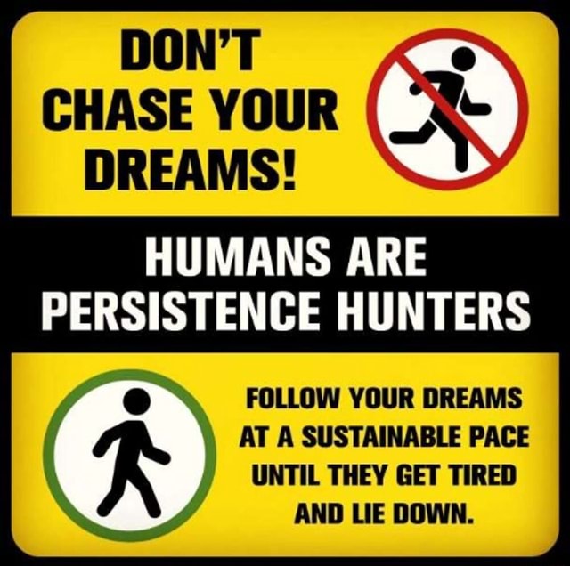 DON'T CHASE YOUR DREAMS! HUMANS ARE PERSISTENCE HUNTERS FOLLOW YOUR ...