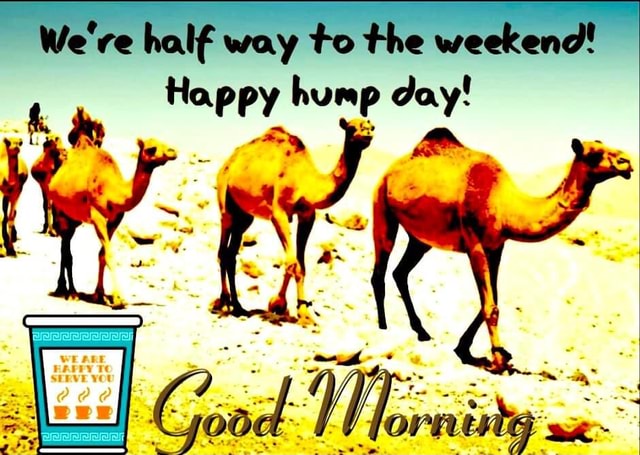 We're half way to the weekend! Happy hump day! he - America’s best pics ...