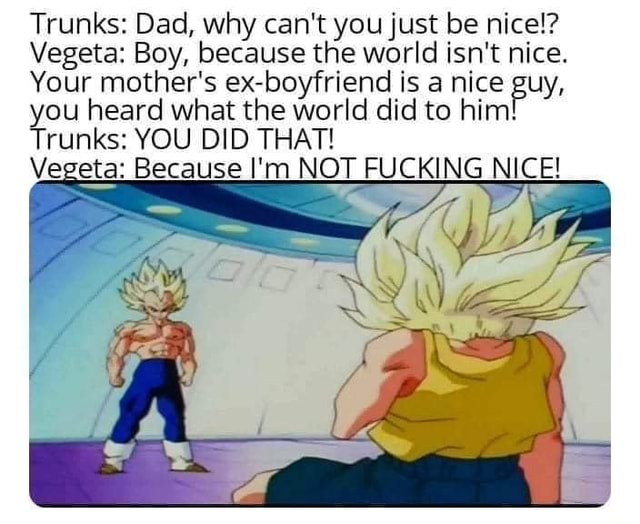 Trunks: Dad, why can't you just be nice!? Vegeta: Boy, because the ...