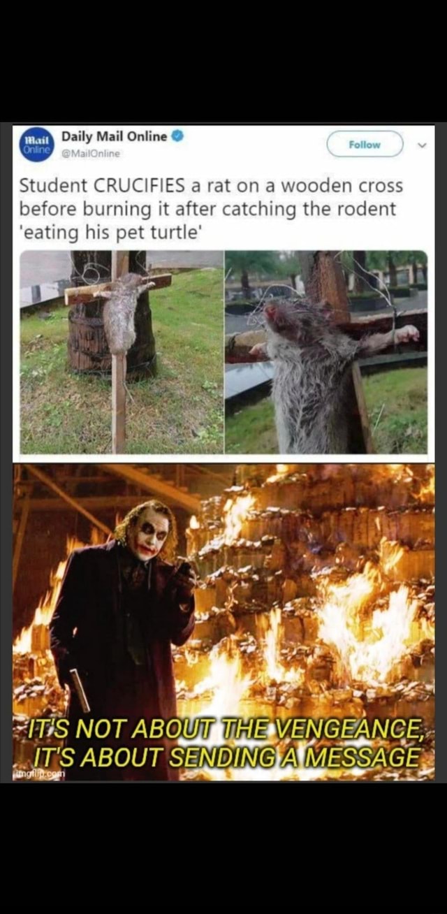 Man Daily Mail Online Student CRUCIFIES a rat on a wooden cross before ...