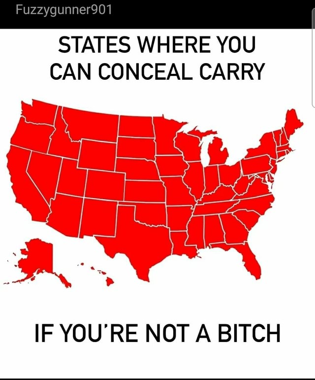 Fuzzygunner901 STATES WHERE YOU CAN CONCEAL CARRY IF YOU'RE NOT A BITCH ...
