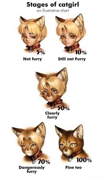 Stages of catgirl on illustrative chart Dangerously ery - iFunny